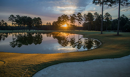 AFC Teams – Veteran Golfers Association